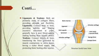 Nature of Joints & Joints Diseases ppt.pptx