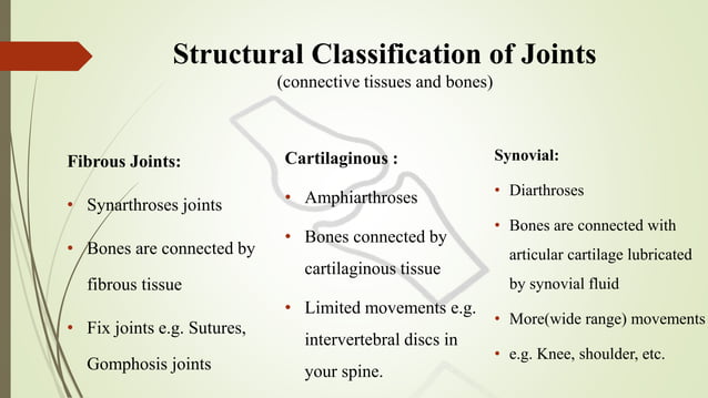 Nature of Joints & Joints Diseases ppt.pptx