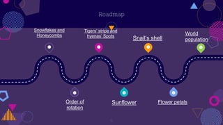Pattern & Sequence | PPTX