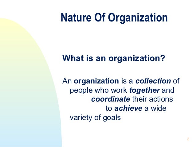 Nature of organization & management