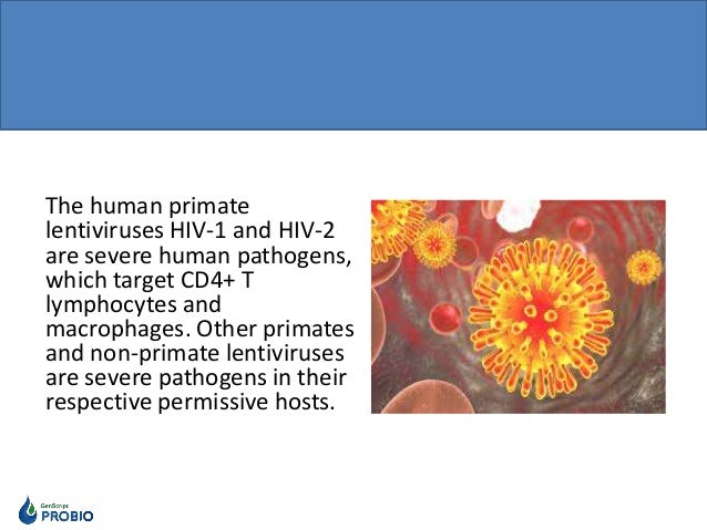 Nature of Parental Lentiviruses & Impact on Lentiviral.pptx