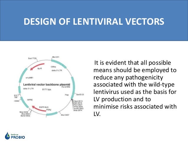 Nature of Parental Lentiviruses & Impact on Lentiviral.pptx