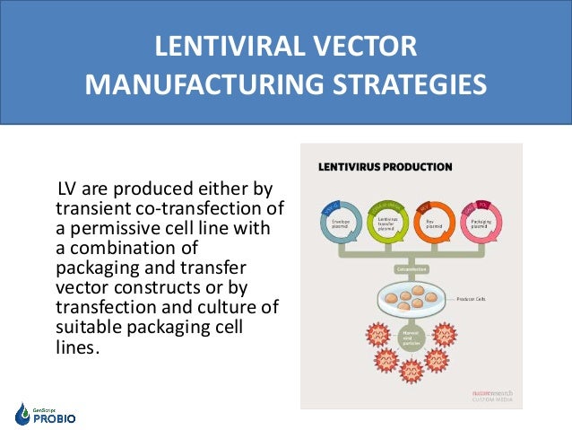 Nature of Parental Lentiviruses & Impact on Lentiviral.pptx | Genetics | Science