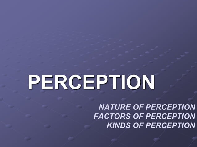 Perception | PPTX