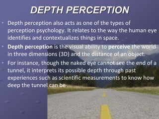 Perception | PPTX