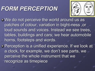Perception | PPTX