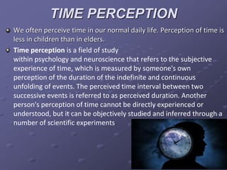 Perception | PPTX