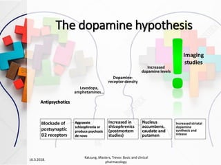 Nature of psychosis and schizophrenia | PPSX