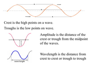 Nature of waves | PPTX