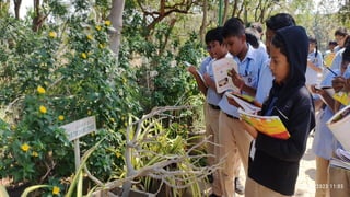 Nature our Teacher - Biology project by Students | PPT