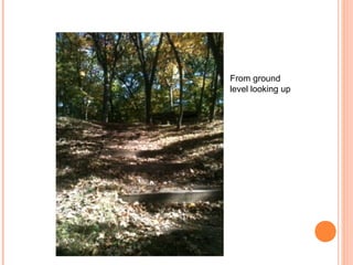 Nature pics | PPT