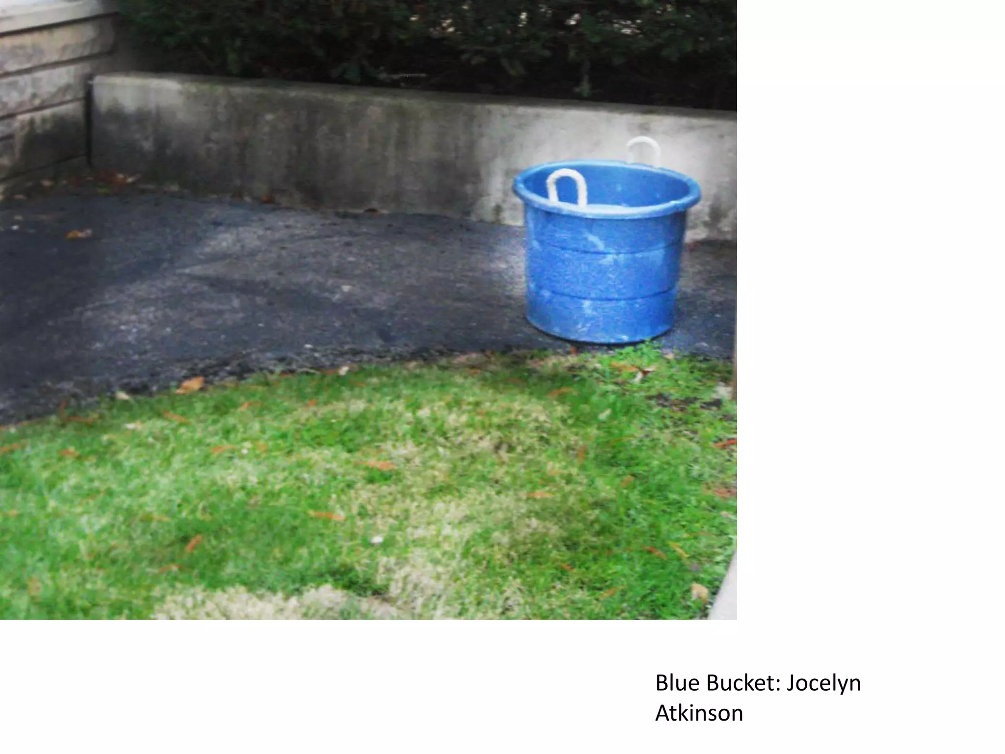 Nature powerpoint | PPTX