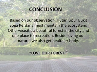 Nature Conservation-Function of Forest Ecosystem | PPT