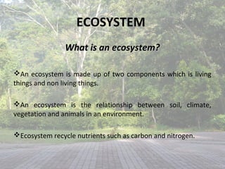 Nature Conservation-Function of Forest Ecosystem | PPT