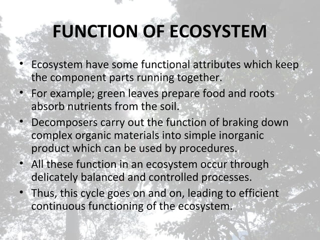 Nature Conservation-Function of Forest Ecosystem | PPT