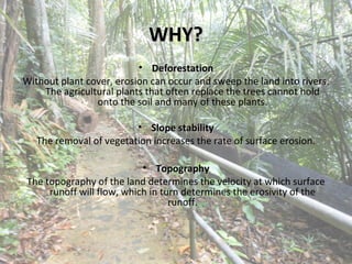 Nature Conservation-Function of Forest Ecosystem | PPT