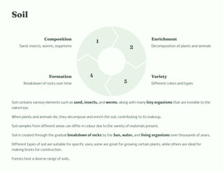 Natures-Treasures.pdf/6th science curiosity/samyans academy | PDF