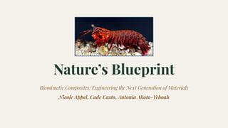 Nature’s Blueprint - Biomimetic Composites.pdf