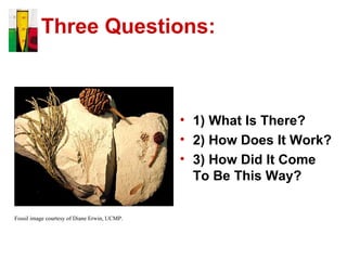 The Nature of Science | PPT