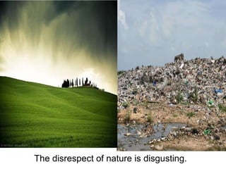 Natures Last Stand Presentation | PPT | Environment | Science