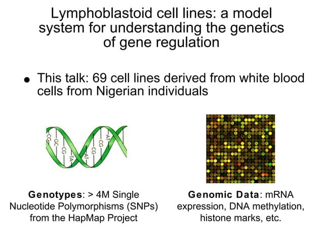 Understanding mechanisms underlying human gene expression variation ...