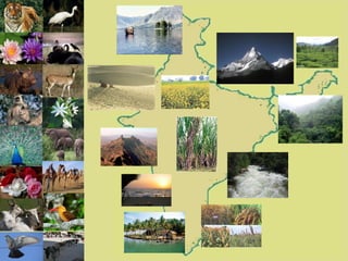 Ecological diversity in India | PPT