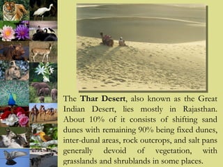 Ecological diversity in India | PPT