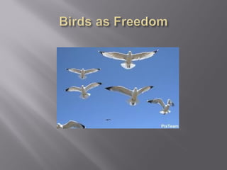 Nature Symbols in Dystopia | PPT