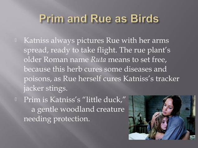 Nature Symbols in Dystopia | PPT | Flower Shopping | Shopping