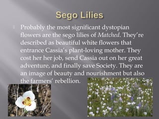 Nature Symbols in Dystopia | PPT