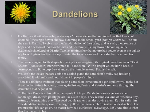 Nature Symbols in Dystopia | PPT | Flower Shopping | Shopping