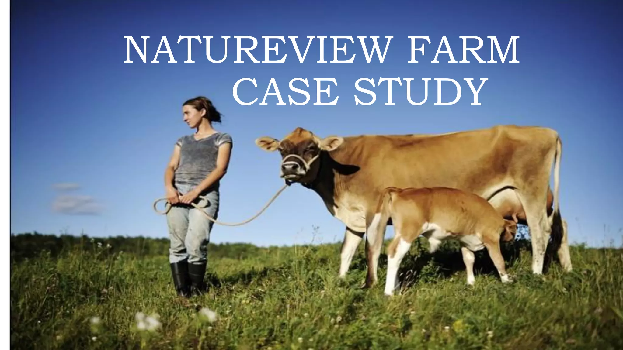 Natureview farm case study | PDF | Commodities | Economy