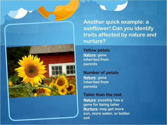 natureVnurture | PPTX