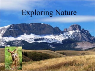 Nature walk lesson plan | PPT