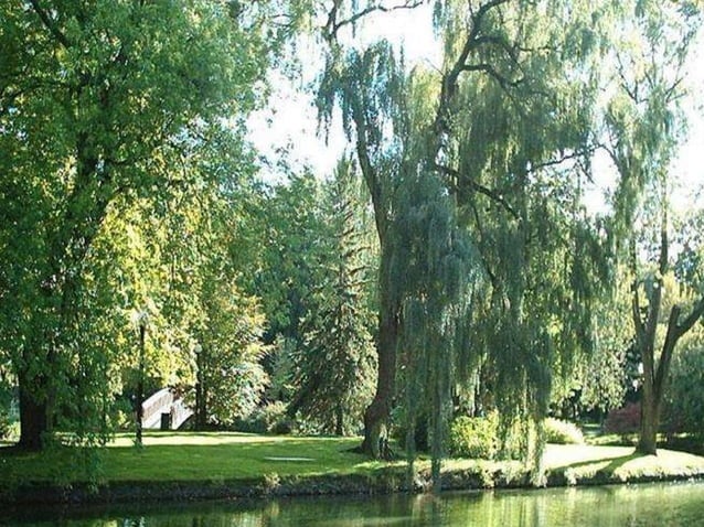 Nature wallpapers (catherine) | PPS