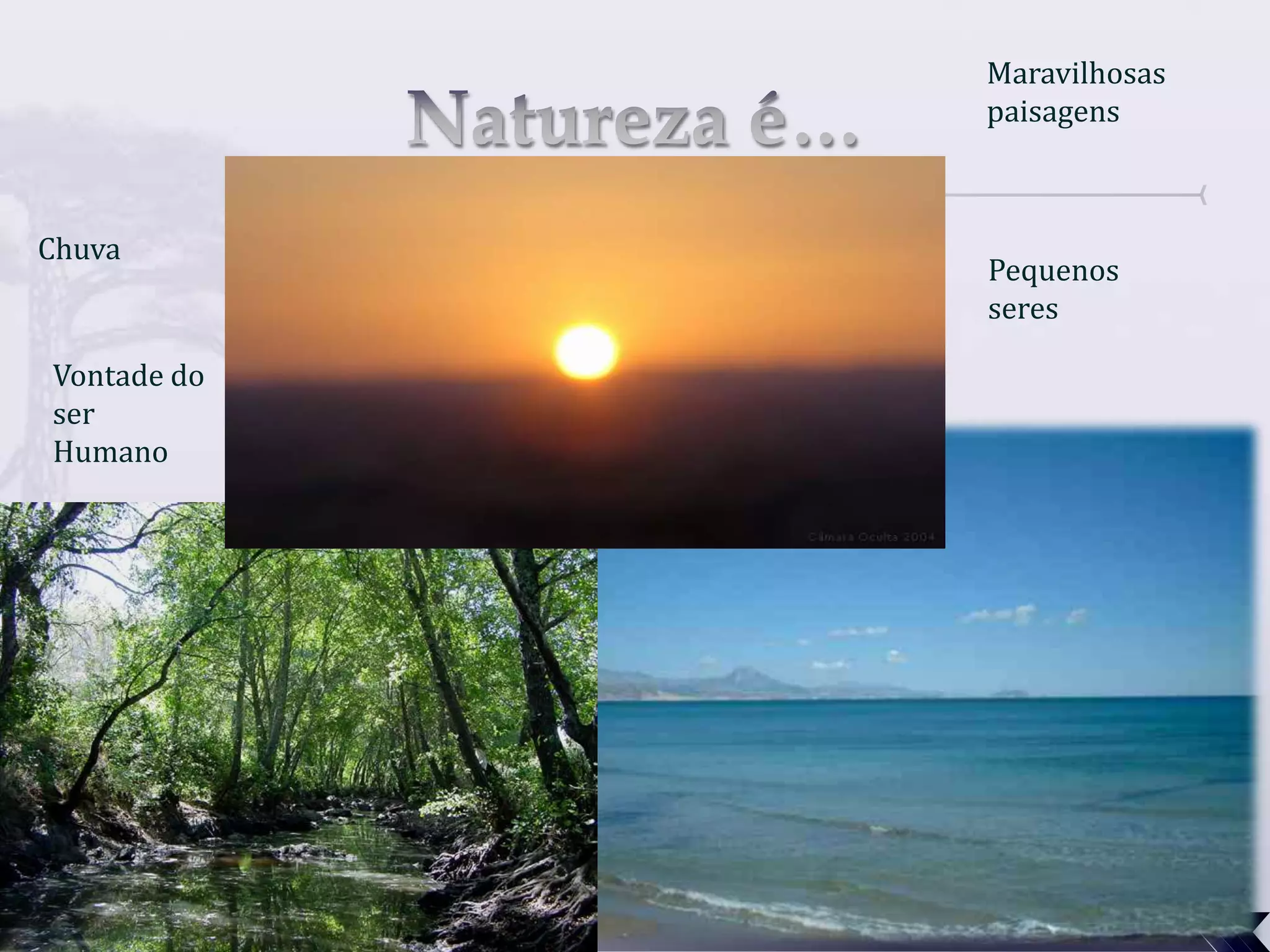 Natureza e os cinco sentidos | PPT