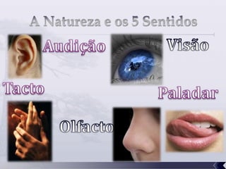 Natureza e os cinco sentidos | PPT