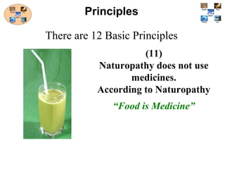Introduction to Naturopathy | PPT