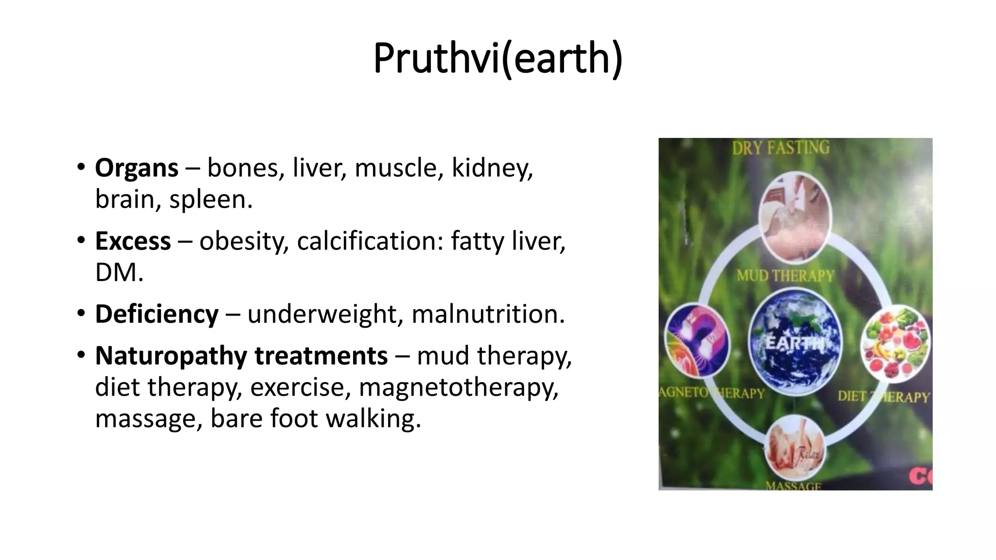 Basics of Naturopathy .pptx