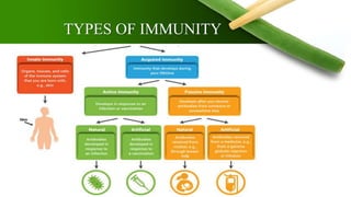Immunity and Life Style | PPTX