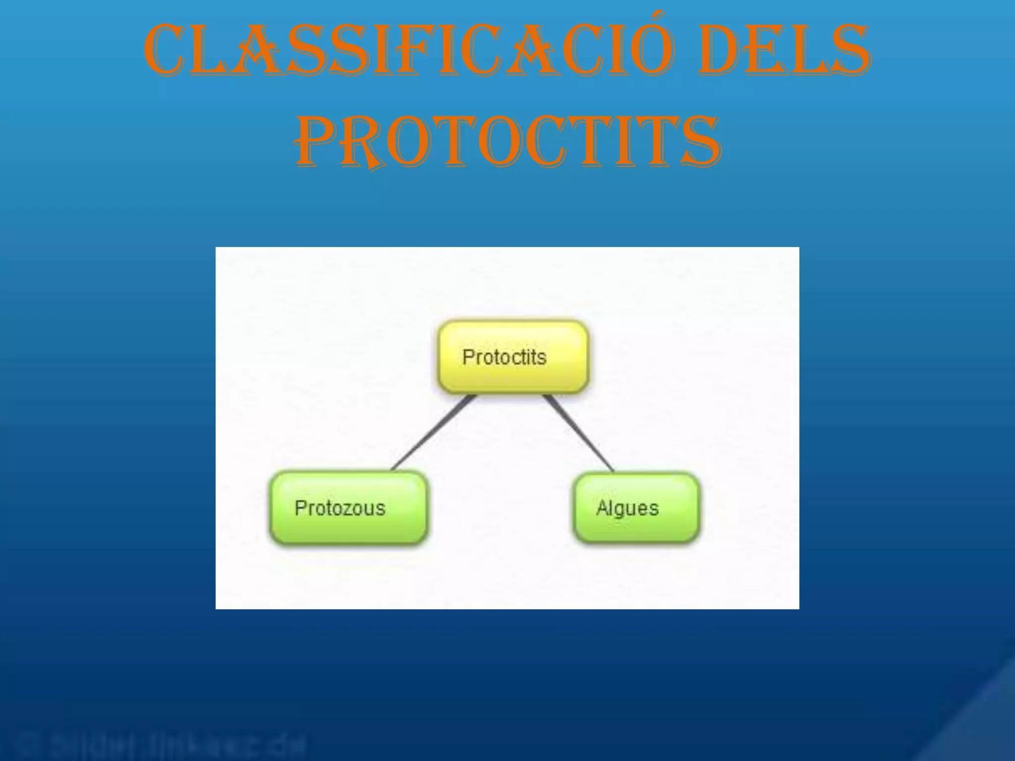 Natus 5 regnes | PPTX