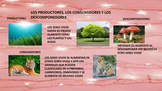 LOS TIPOS DE SERES VIVOS. | PPTX