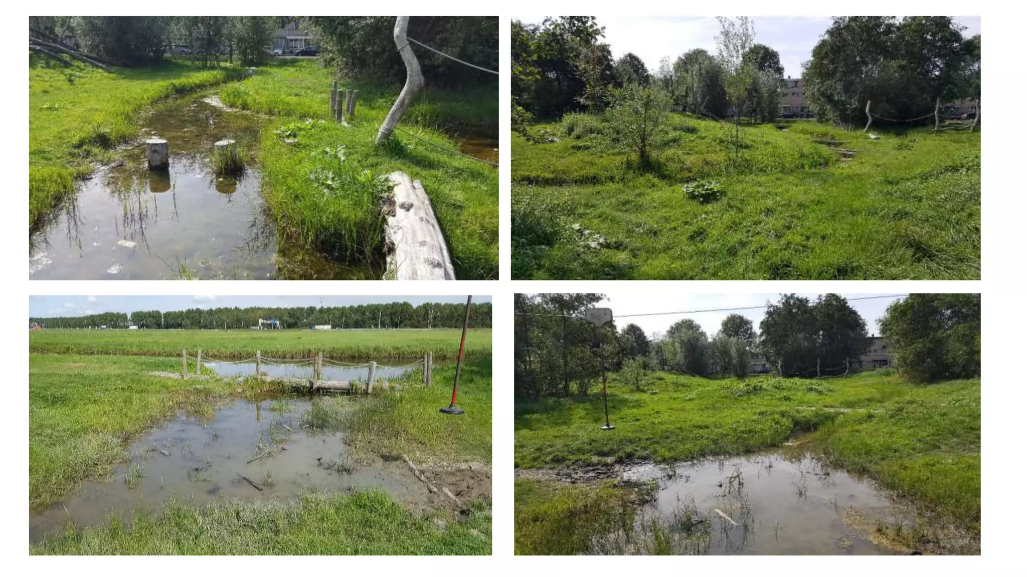 Natuurspeelterrein de grote buitendijk | PPTX