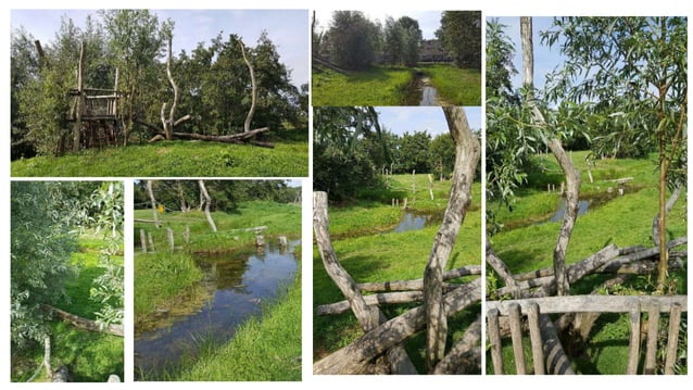 Natuurspeelterrein de grote buitendijk | PPTX