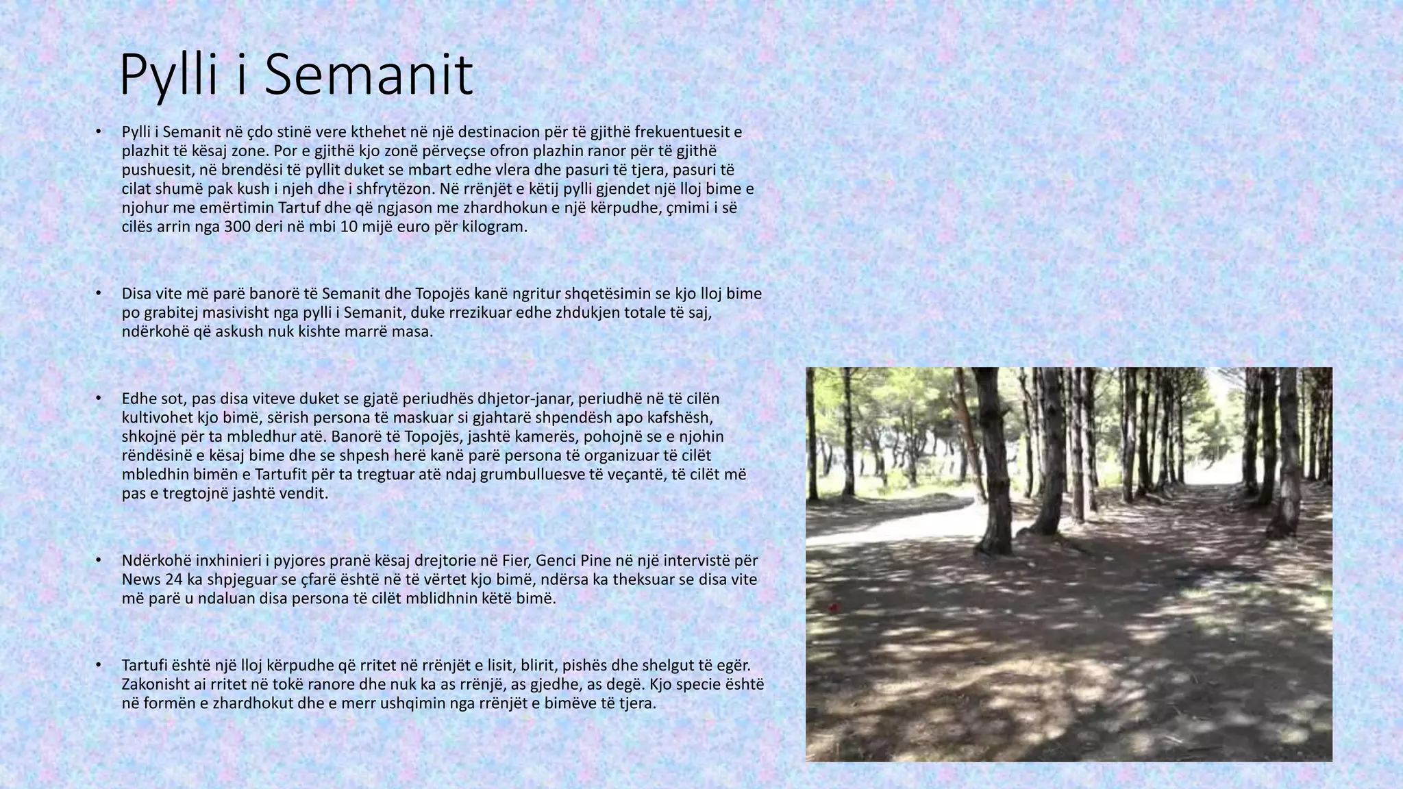 Natyra shqiptare | PPTX