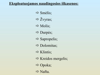 Lietuvos naudingos iskasenos | PPT