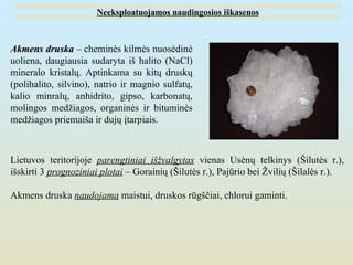 Lietuvos naudingos iskasenos | PPT