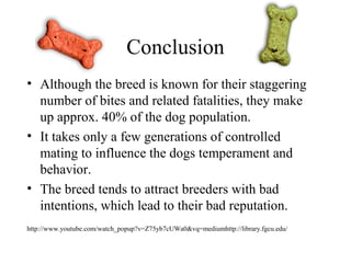 perros pitbulls | PPT