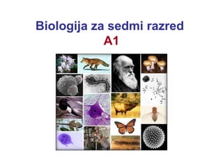 Biologija - nauka o životu | PPT