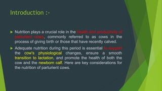 Animal Nutrition parturation of cows Dairy | PPTX